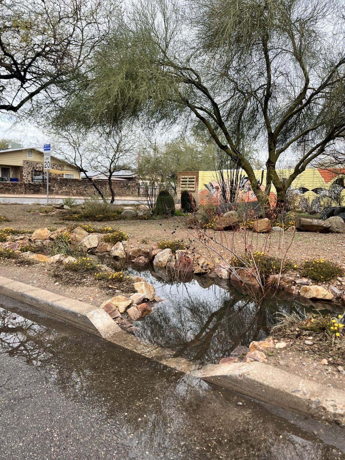 Trees for Tucson · Tucson Clean & Beautiful